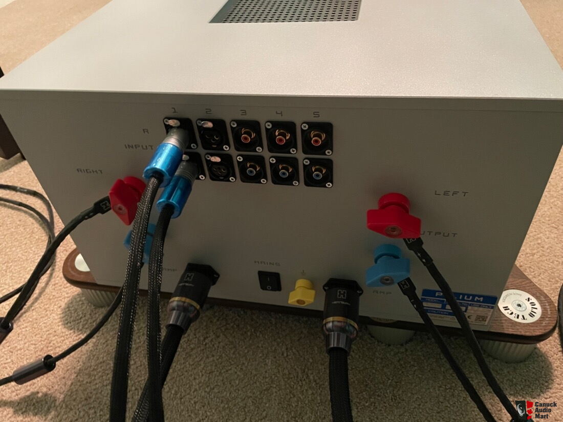 Pilium Leonidas Dual Mono Integrated Amplifier Photo #5957466 - US ...
