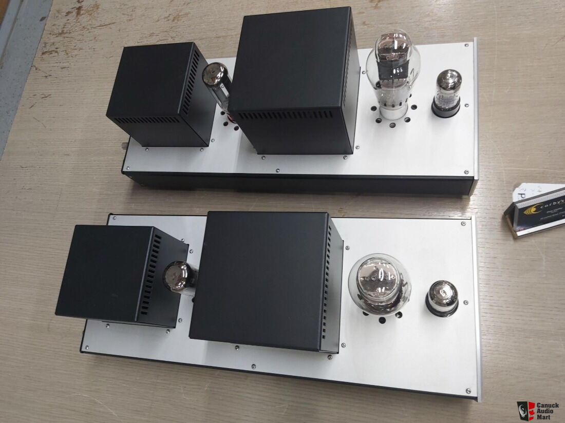Audionote Quest Silver 300b monoblocks Photo #5958898 - Canuck Audio Mart
