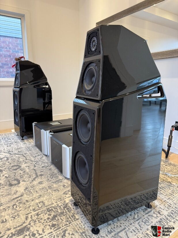Wilson Audio Sasha DAW - Obsidian Black Masterpiece | Rare Canadian ...