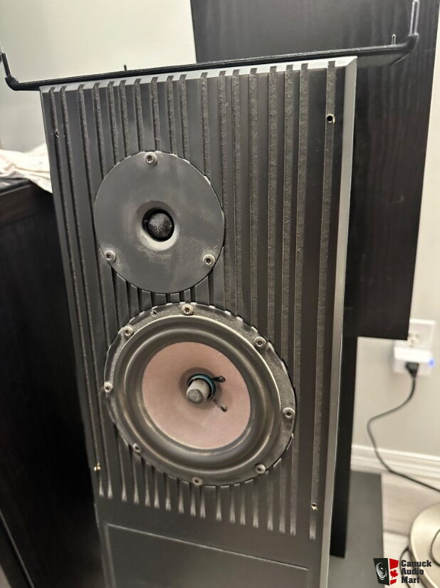 Rega ELA Mk 1 Photo #5963909 - Canuck Audio Mart