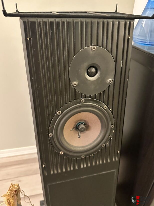 Rega ELA Mk 1 Photo #5963911 - Canuck Audio Mart