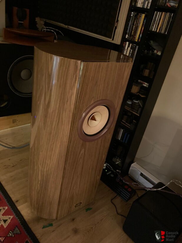 Lii Song Audio Origin S10 Single driver speakers Photo #5963947 ...