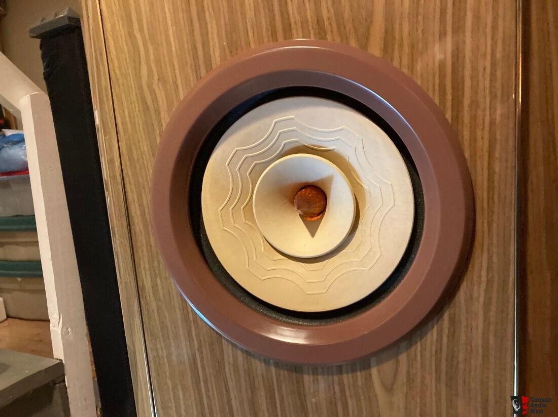 Lii Song Audio Origin S10 Single driver speakers Photo #5963947 ...
