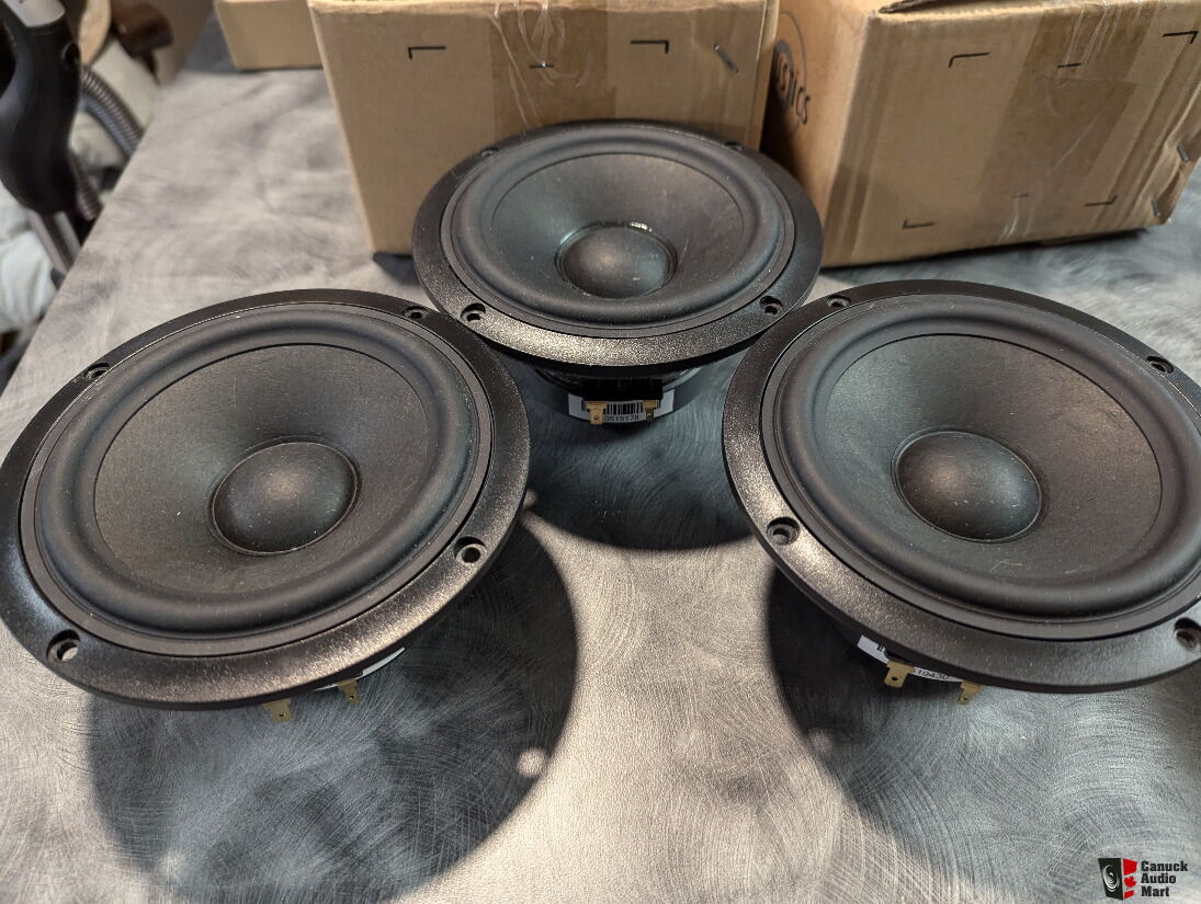 SB Acoustics SB13PFCR25-08 Photo #5969401 - Canuck Audio Mart