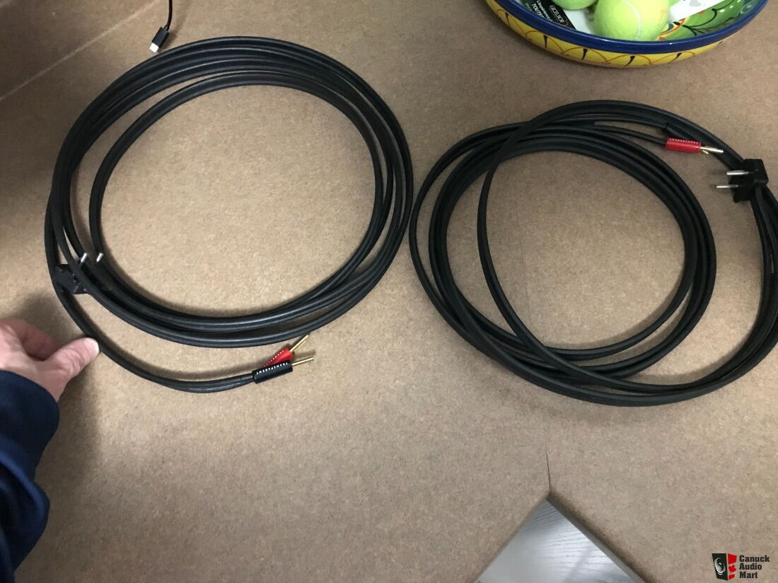 NAIM NACA Speaker cables 10 feet factory terminated For Sale - US Audio ...