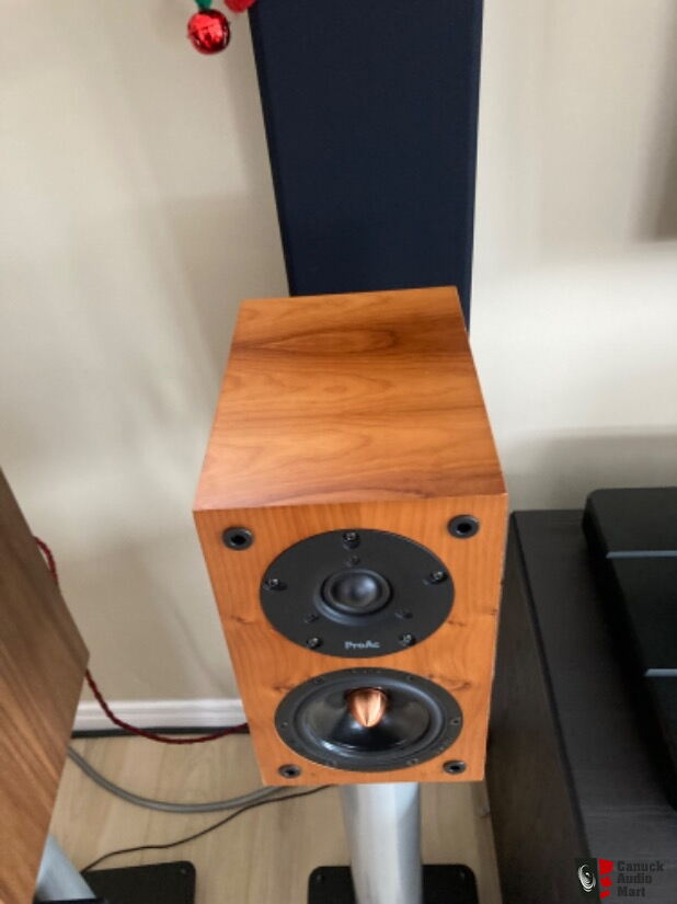 Proac Tablette Reference 8 Signature / Beautiful optional Yew finish ...
