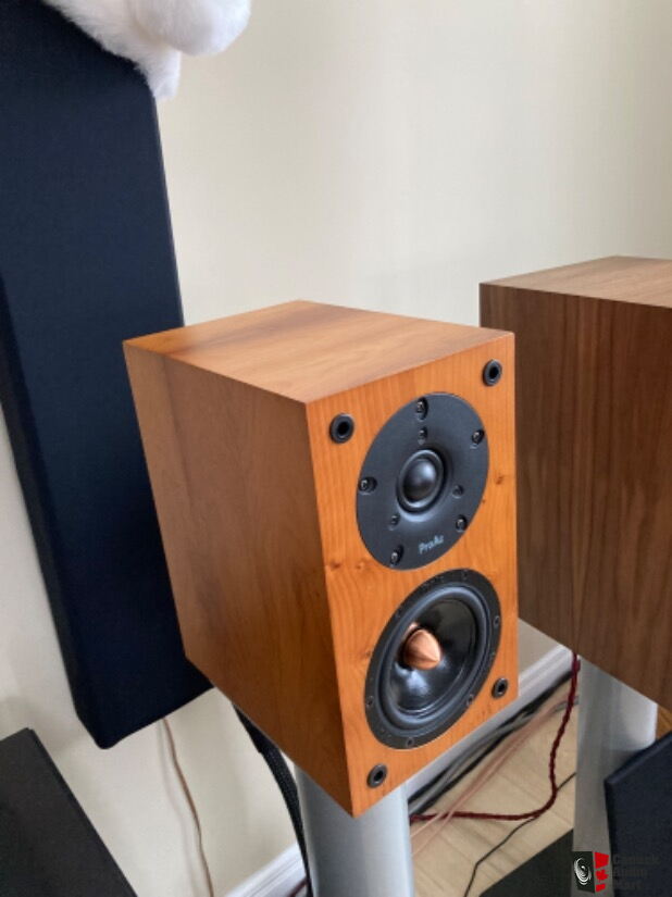 Proac Tablette Reference 8 Signature / Beautiful optional Yew finish ...