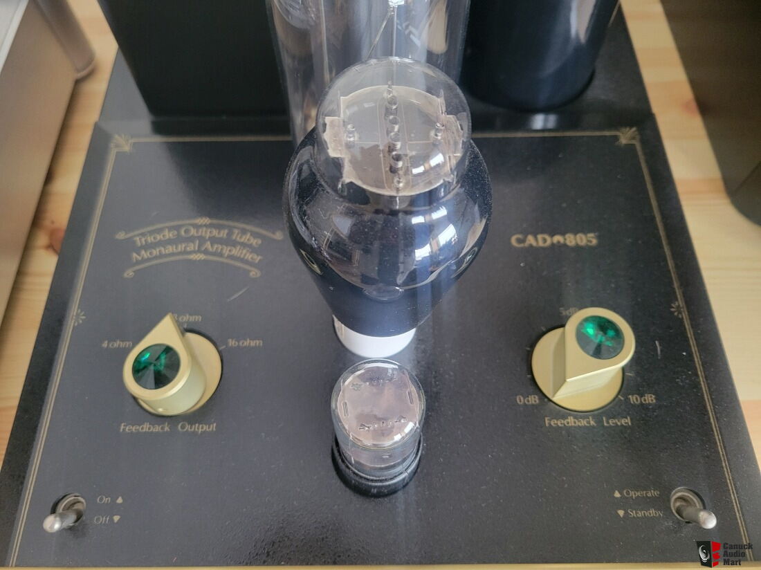 Cary Cad tube 805 mono block amps, Coincident tube Preamp Photo ...