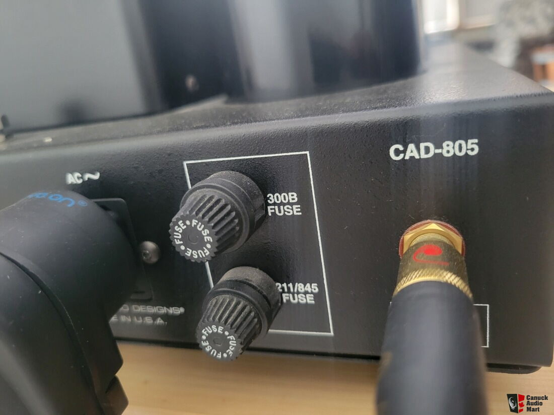 Cary Cad tube 805 mono block amps, Coincident tube Preamp Photo ...