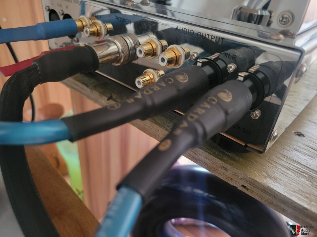 Cary Cad tube 805 mono block amps, Coincident tube Preamp Photo ...