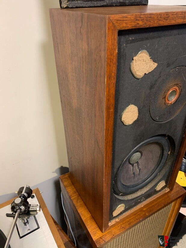 Epicure EPI M100 Bookshelf Speakers (USA) Photo #5974172 - Canuck Audio ...