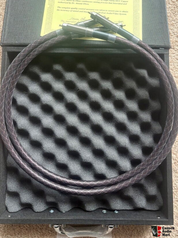 Neotech NEI 1002 Photo #5981631 - Canuck Audio Mart