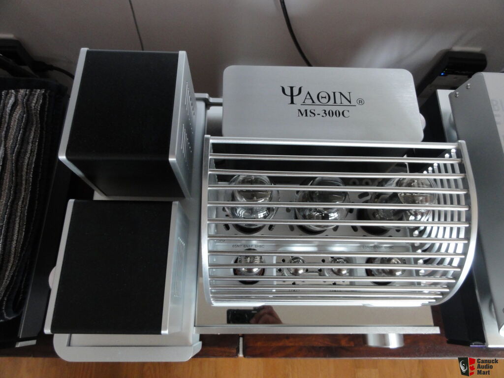 New Version Yaqin 300B Integrated Tube Amp With Upgraded Tubes Photo ...