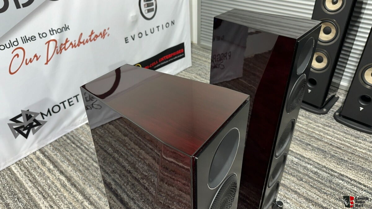 Paradigm Founder 120H Floorstanding Speakers Photo #5990933 - Canuck ...