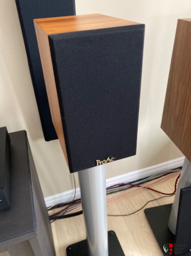 Proac Tablette Référence 8 Signature in beautiful optional Yew // Like ...