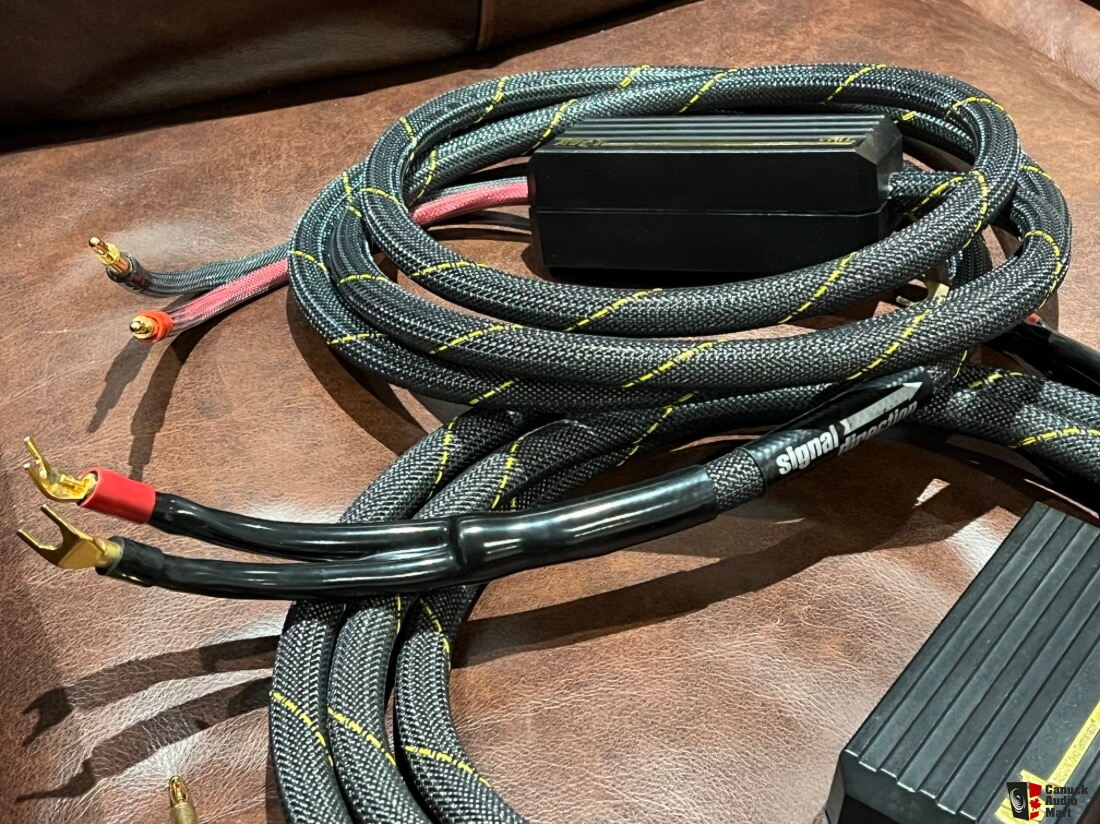MIT AVT1 Speaker cables, 8'-0" pair Photo #5994921 - Canuck Audio Mart