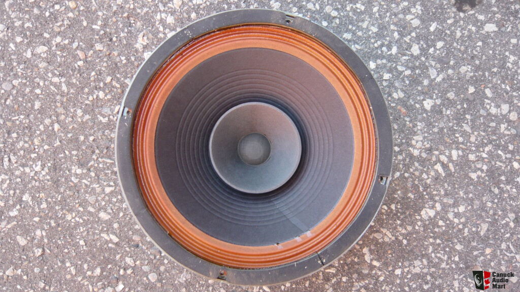 Single 12 Jensen DL 120 Delta Series Speaker Whizzer Cone Photo Single 12 Jensen DL 120 Delta Series Speaker Whizzer Cone Photo