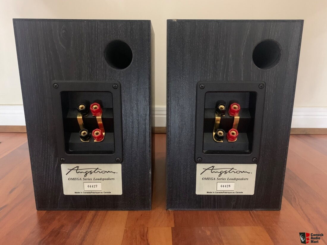 Angstrom speakers Photo #5997252 - Canuck Audio Mart
