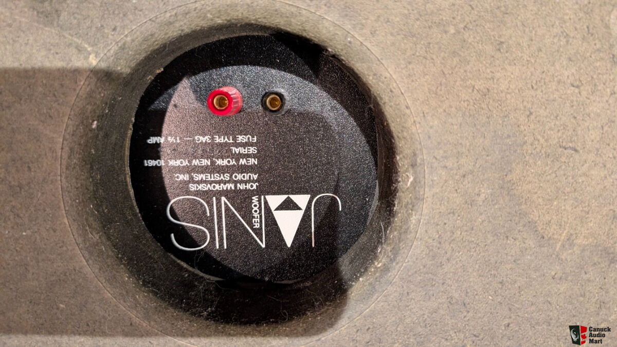 Janis Subwoofer with external amp and crossover Photo #6000086 - US ...