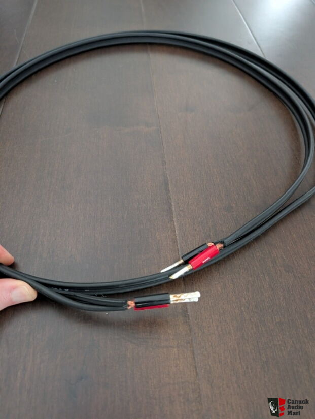 Naim Audio NAC A5 Speaker Cable (2x8ft) w/ AudioQuest Beryllium-Copper ...
