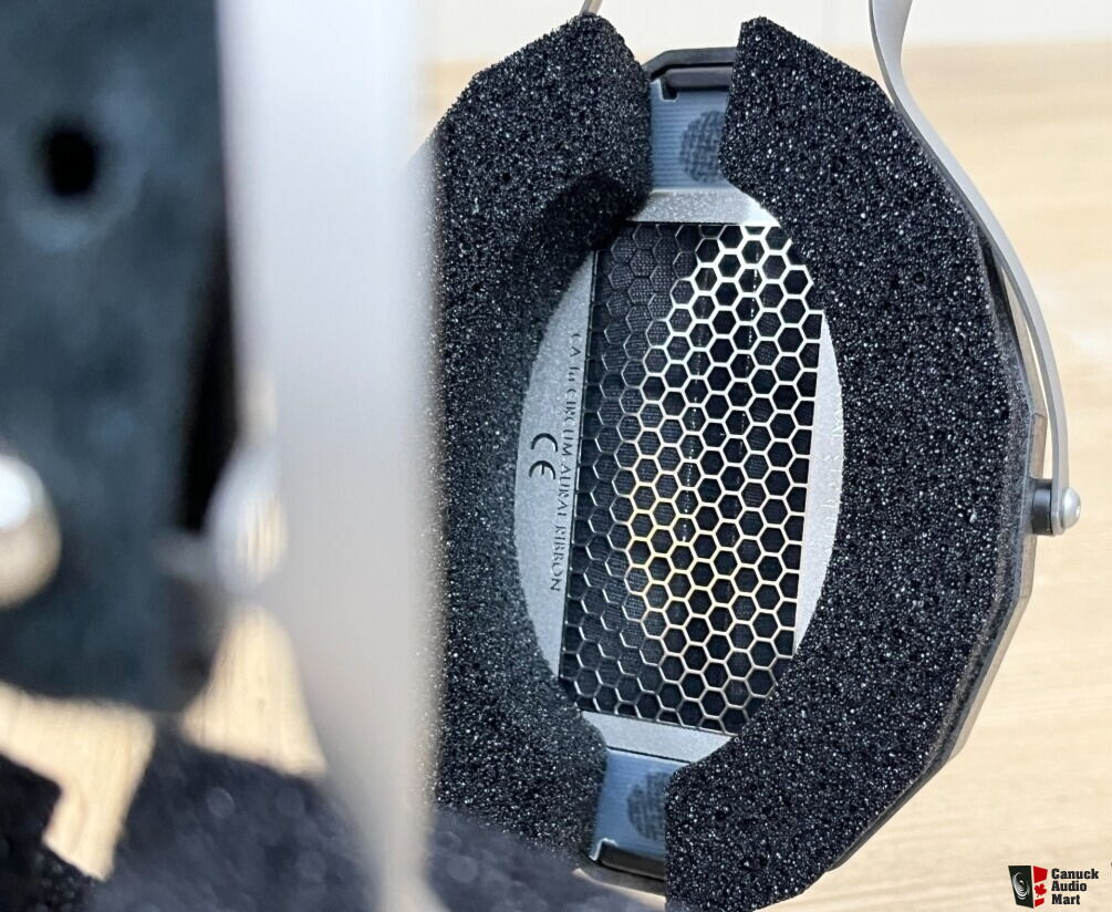Raal Requisite CA-1a Ribbon Headphones w/ TI-1a Transformer Interface ...