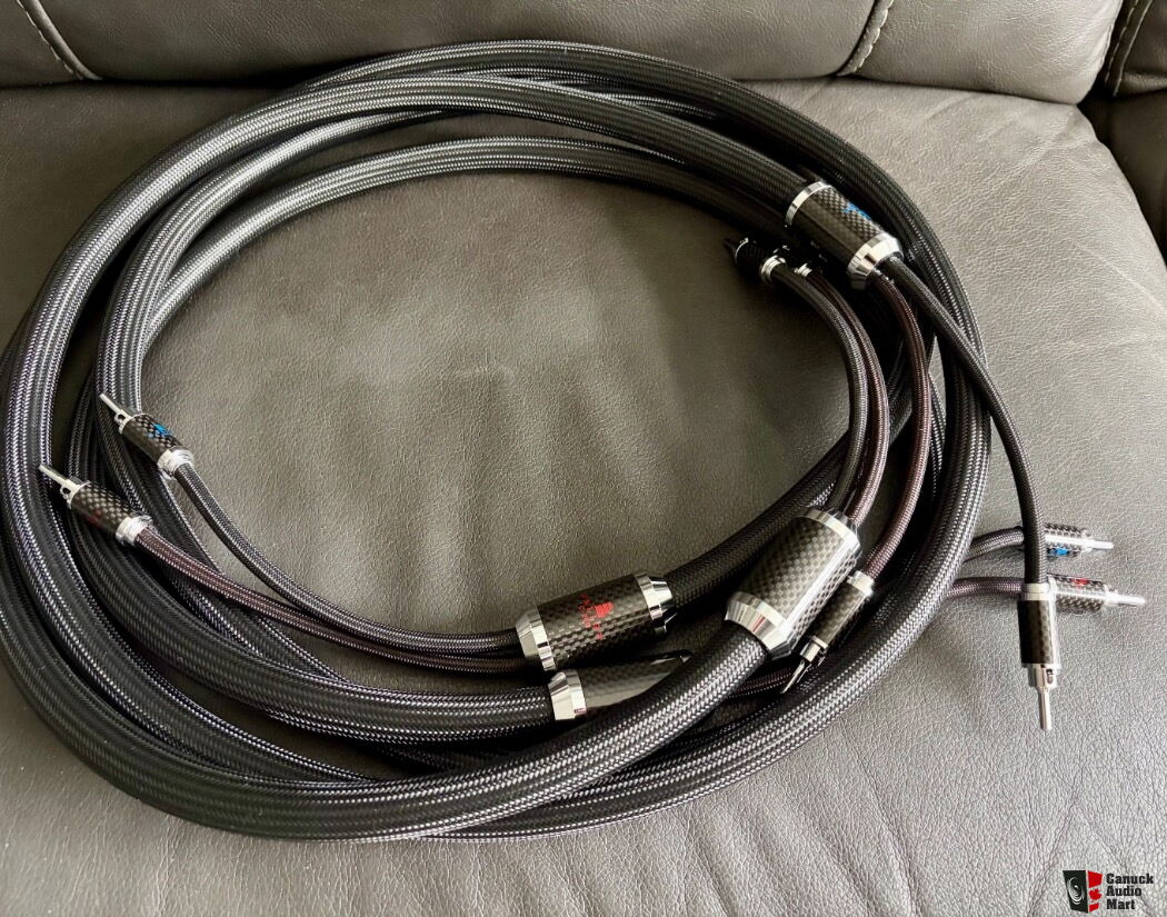Galion C200 Silver Speaker Cables For Sale - US Audio Mart