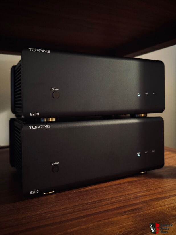 Topping B200 Mono Block Amps - Pair For Sale - US Audio Mart