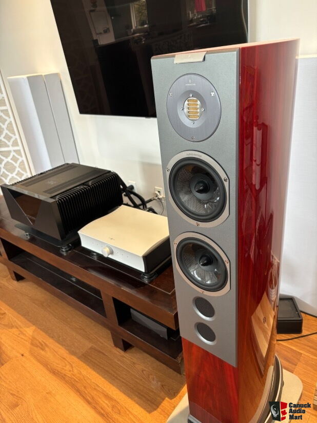 Audiovector R6 Arrete Photo #6027441 - US Audio Mart