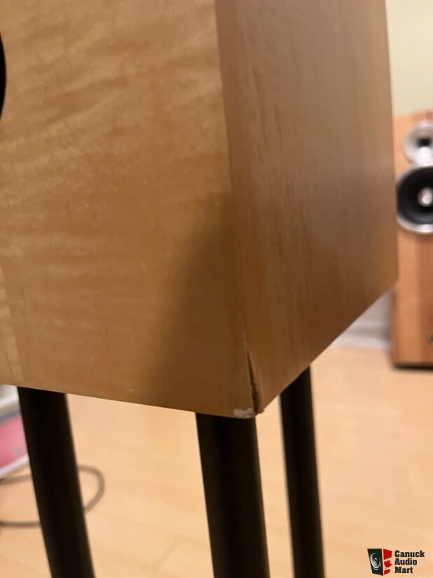 Red Rose R3 Photo #6028040 - Canuck Audio Mart