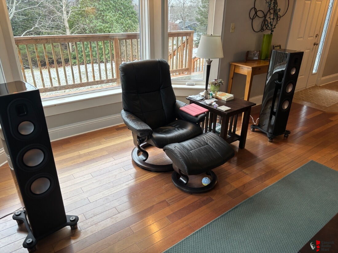 Monitor Audio Platinum PL200 II Photo #6028767 - Canuck Audio Mart