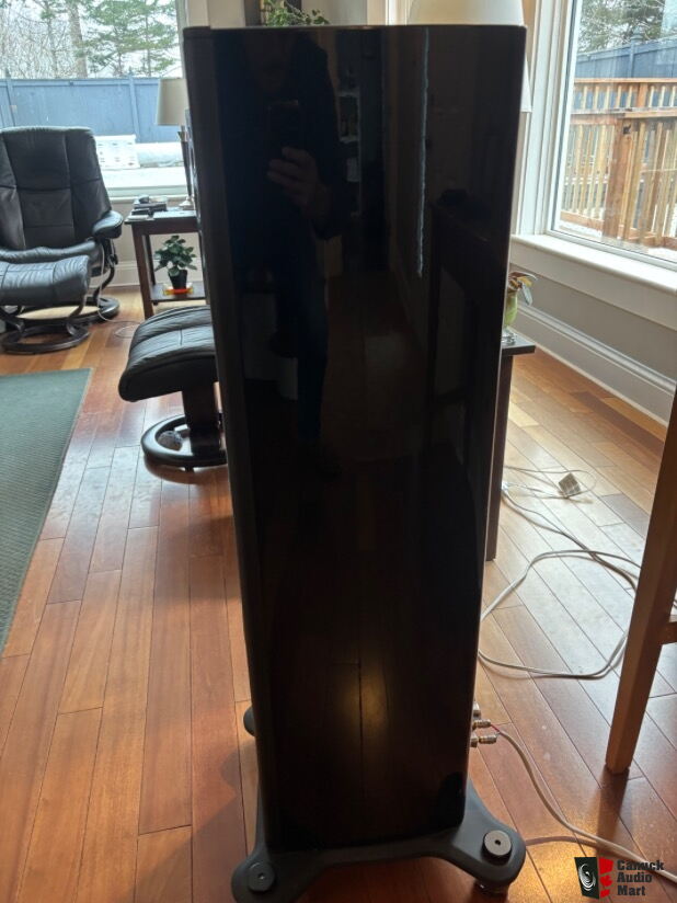Monitor Audio Platinum PL200 II Photo #6028767 - Canuck Audio Mart