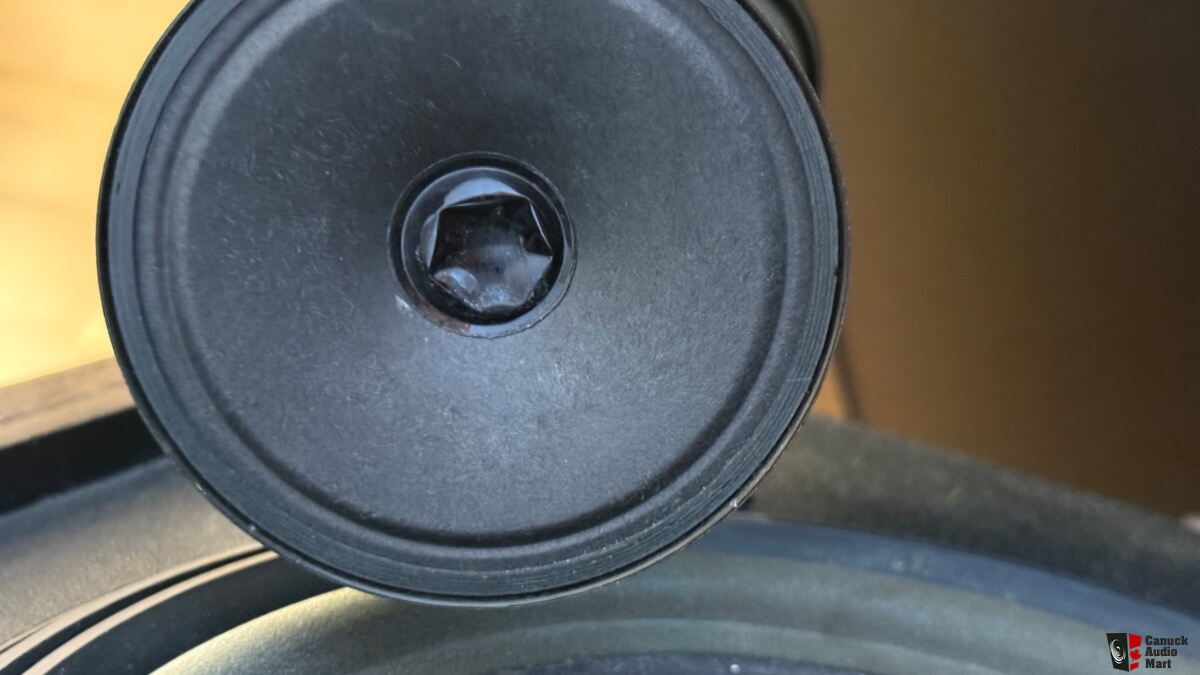 Bose 601 serie 3: vintage speaker Photo #6037465 - Canuck Audio Mart