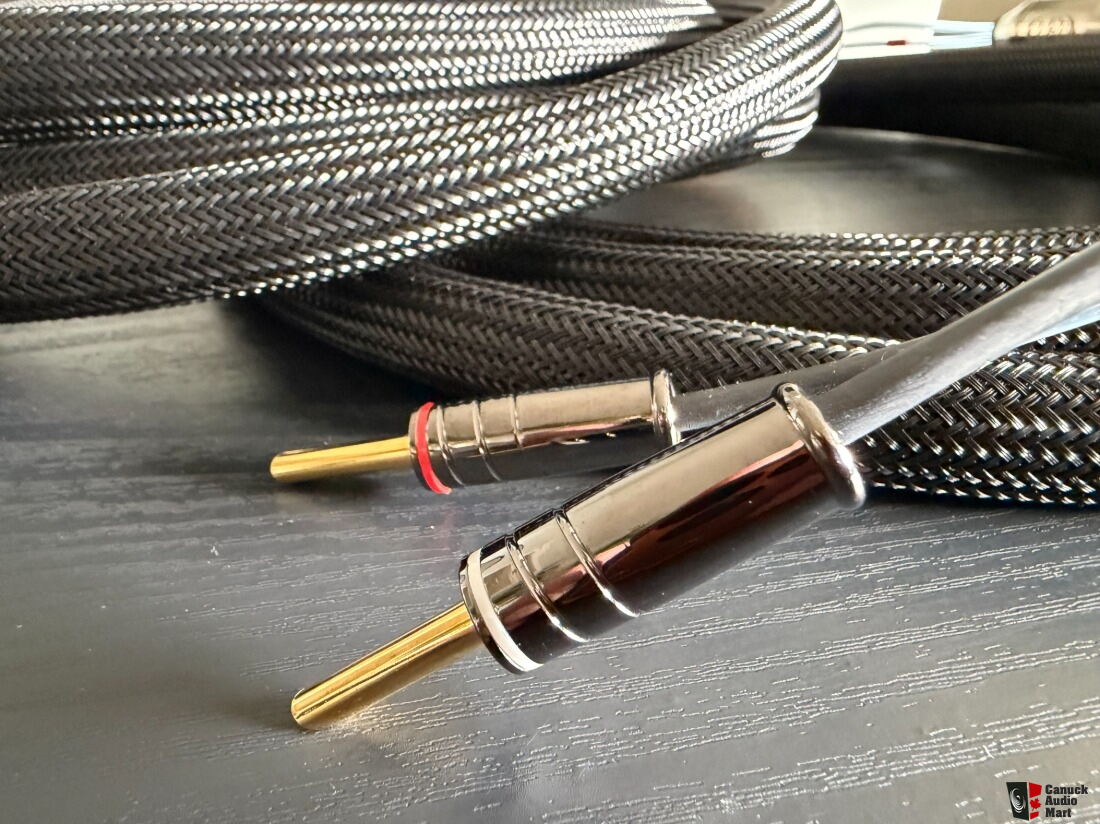 LFD Audio Reference Silver Speaker Cables w/ LFD Banana plugs - 3M Pair ...