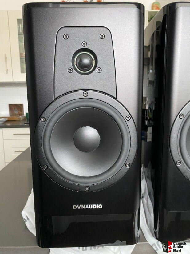 Dynaudio Contour 20 BLACK EDITION ***PENDING to Rick Photo #6041206 ...