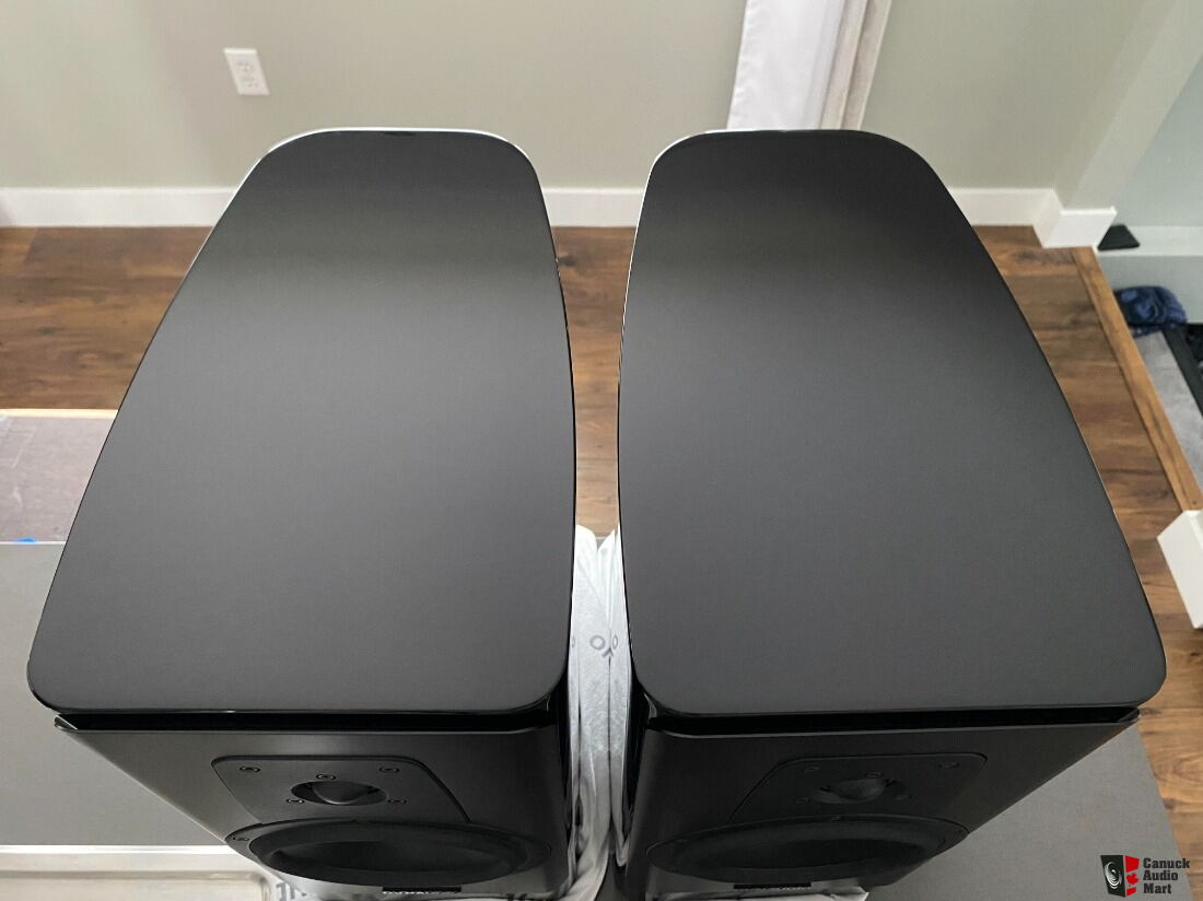 Dynaudio Contour 20 BLACK EDITION Photo #6041210 - US Audio Mart