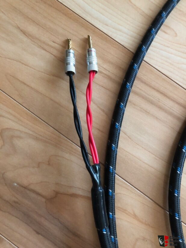 DH Labs Q-10 Signature speaker cables 6 feet long Photo #6043781 ...