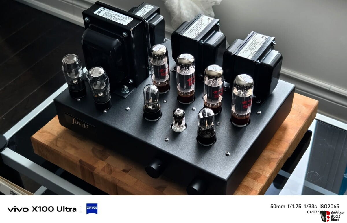 Finalé Audio VOXIS EL34 PP Tube Integrated Amplifier Dealer Ad - US ...