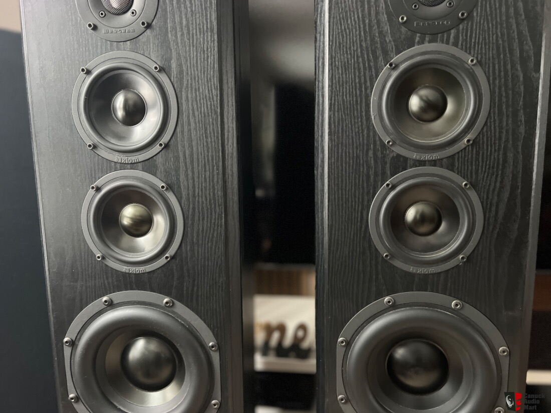 Bryston Model T Floorstanding Speakers - Black Photo #6048557 - Canuck ...