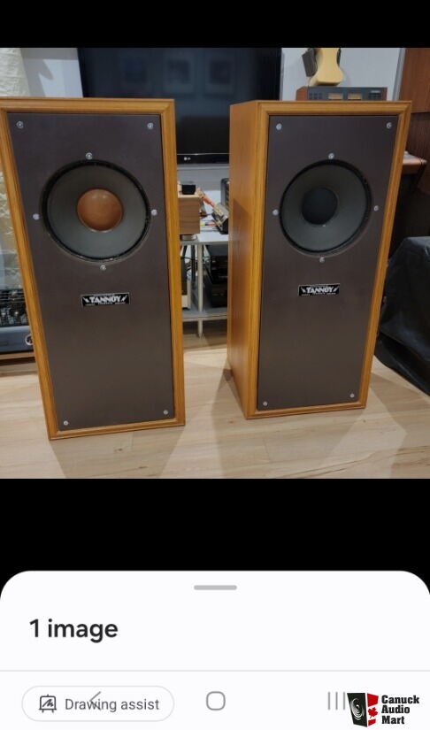 Tannoy 12" Red Monitors with Custom Crossovers in Custom Cabinets Photo ...