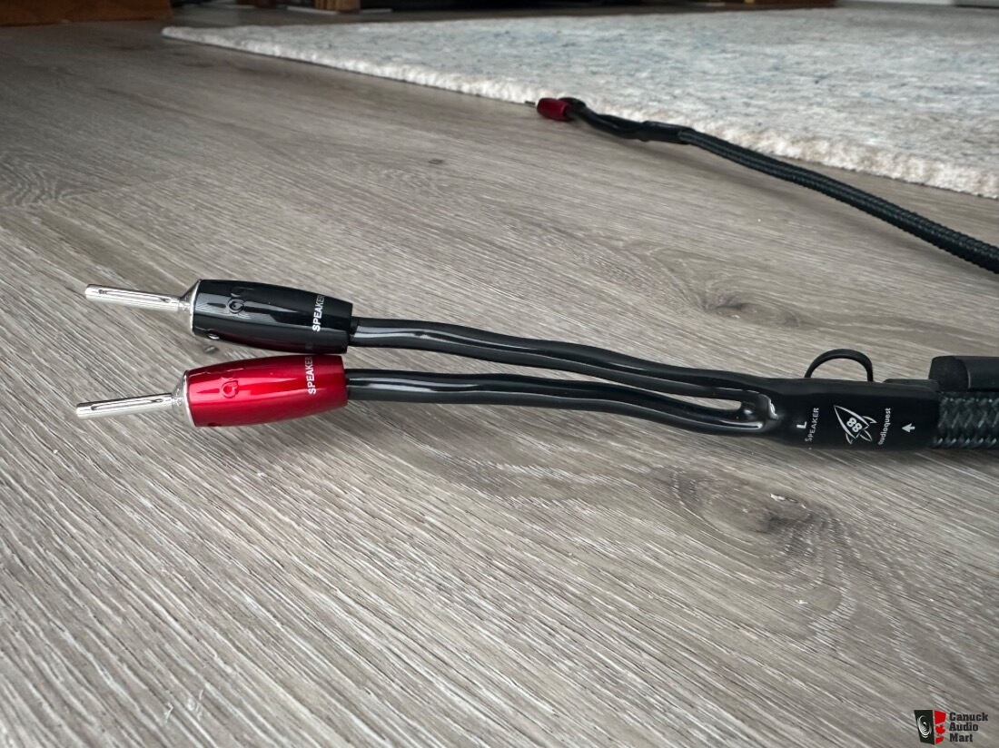Audioquest Rocket 88 Speaker Cables Photo #6052054 - Canuck Audio Mart