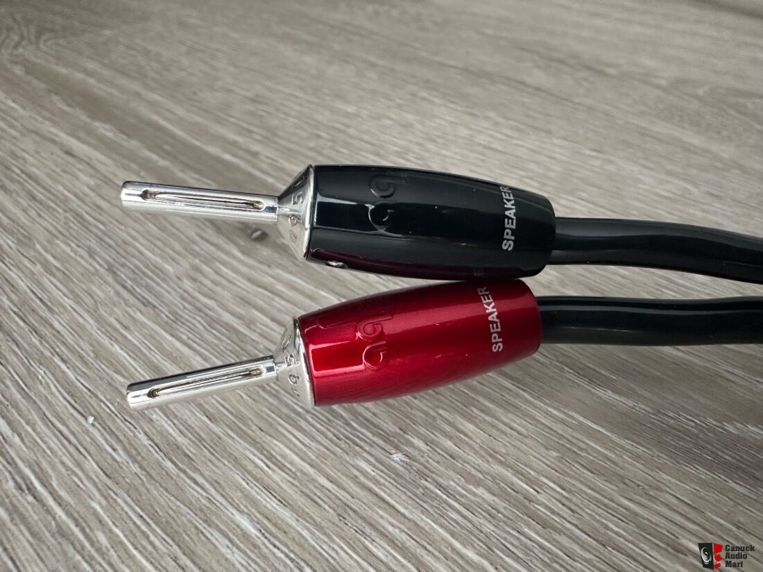 Audioquest Rocket 88 Speaker Cables Photo #6052053 - Canuck Audio Mart