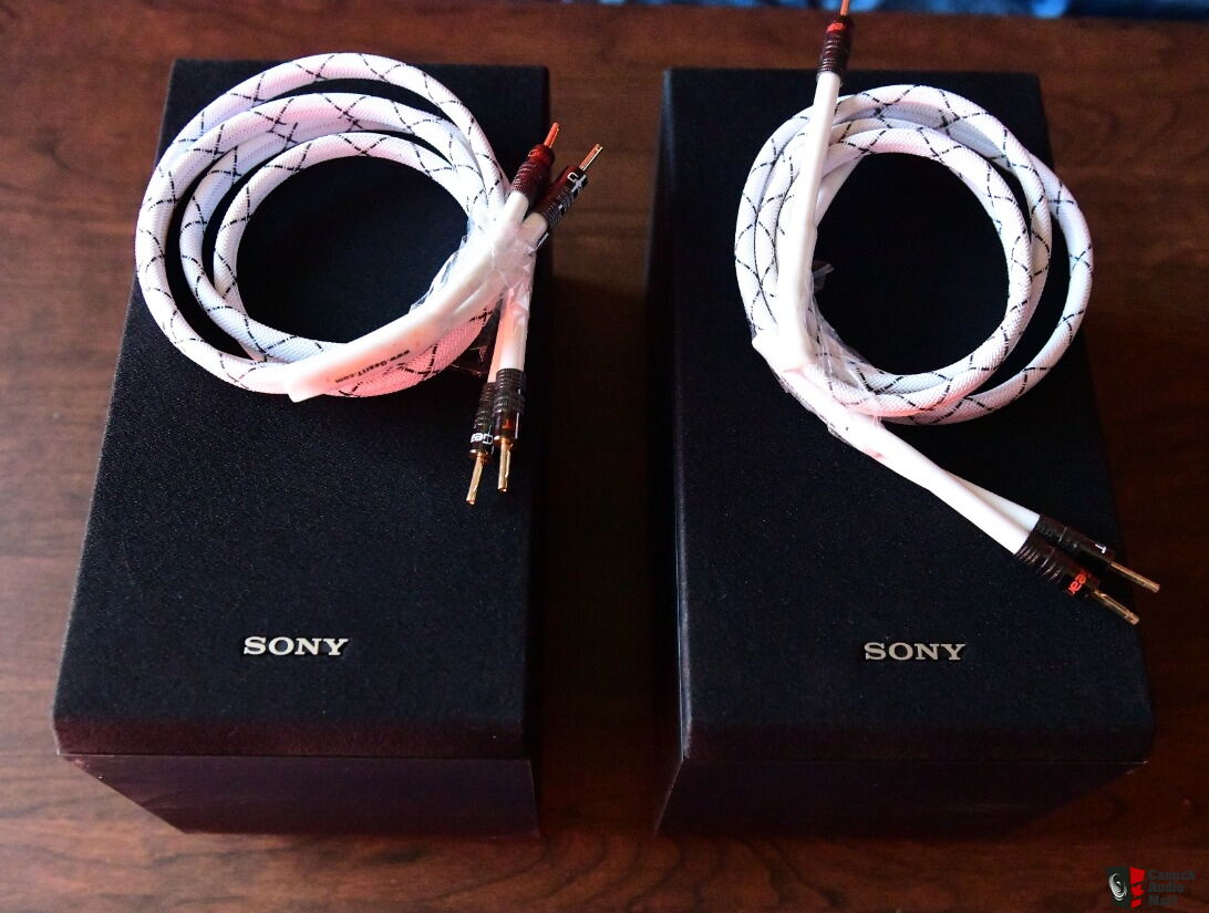 SONY SS CS5 speakers like new Photo #6068420 - Canuck Audio Mart