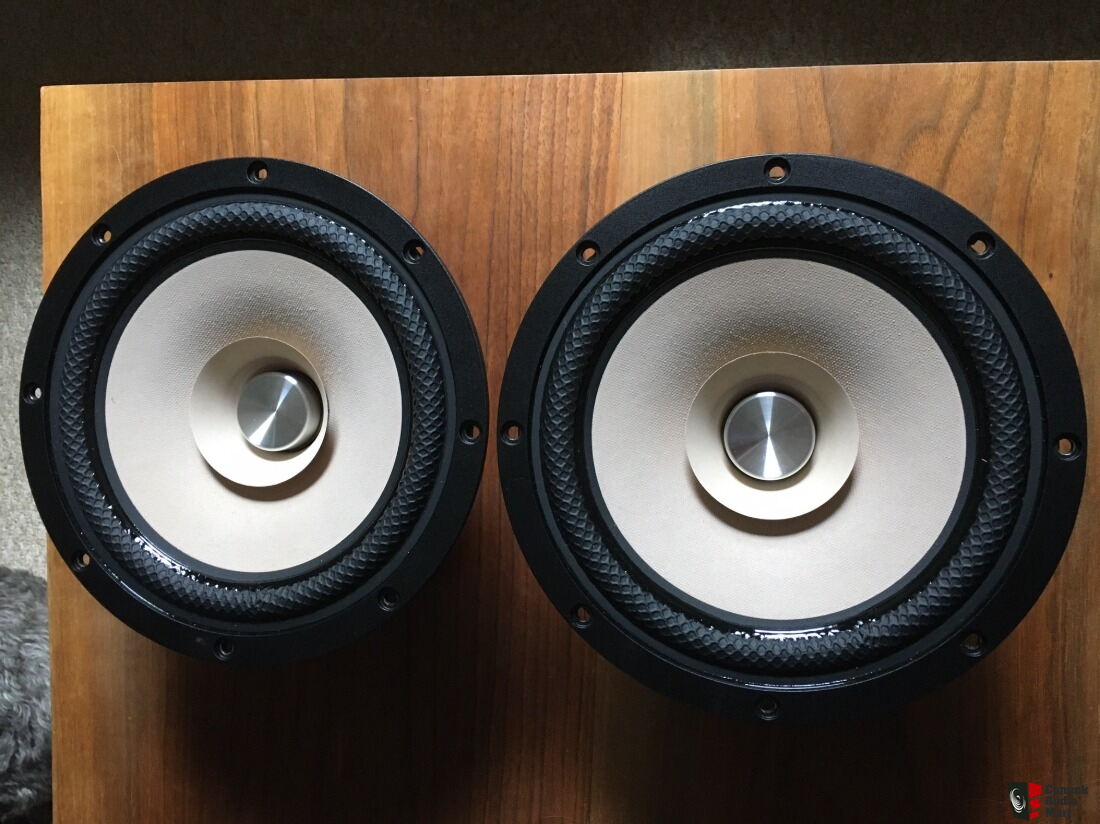 Tang Band W8-2145 full range driver Photo #6071841 - Canuck Audio Mart