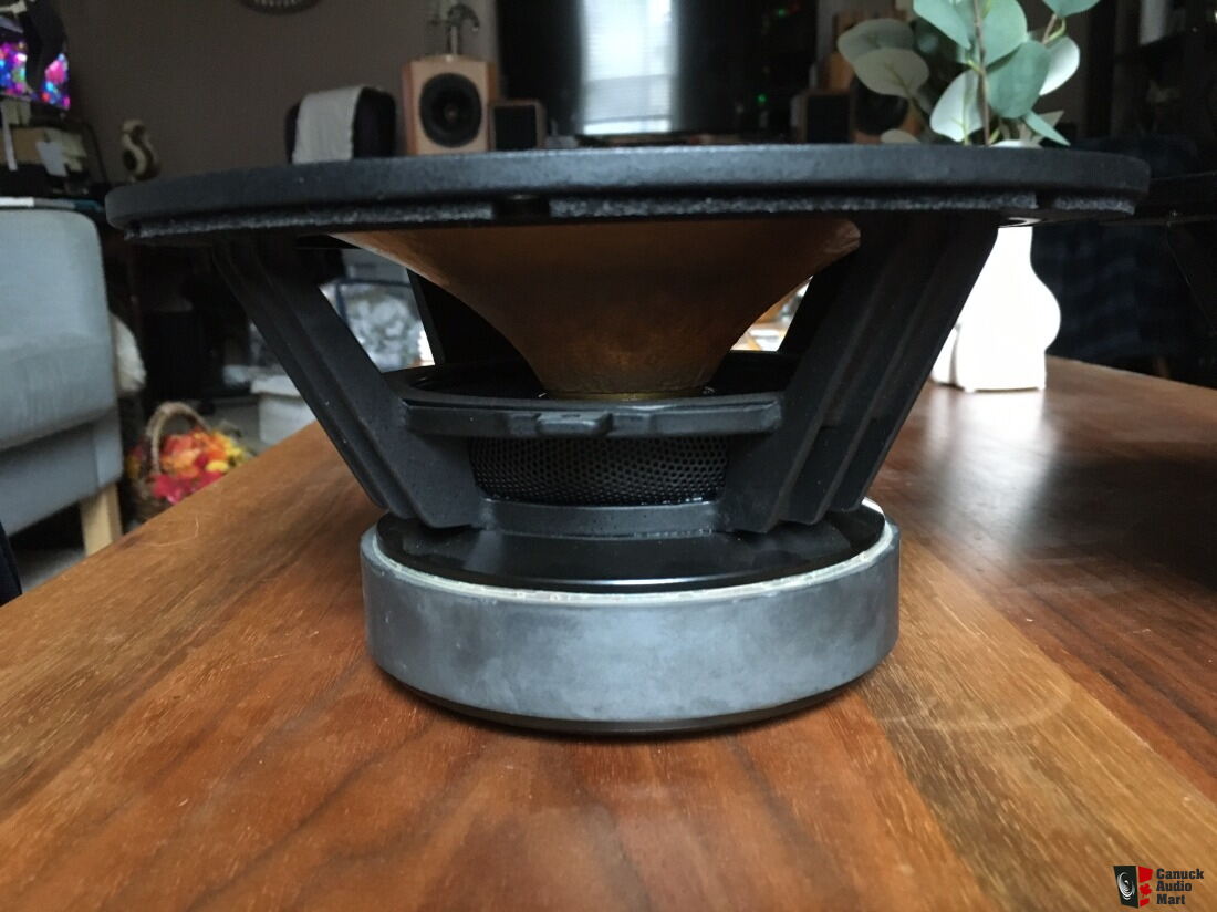 Tang Band W8-2145 full range driver Photo #6071842 - Canuck Audio Mart