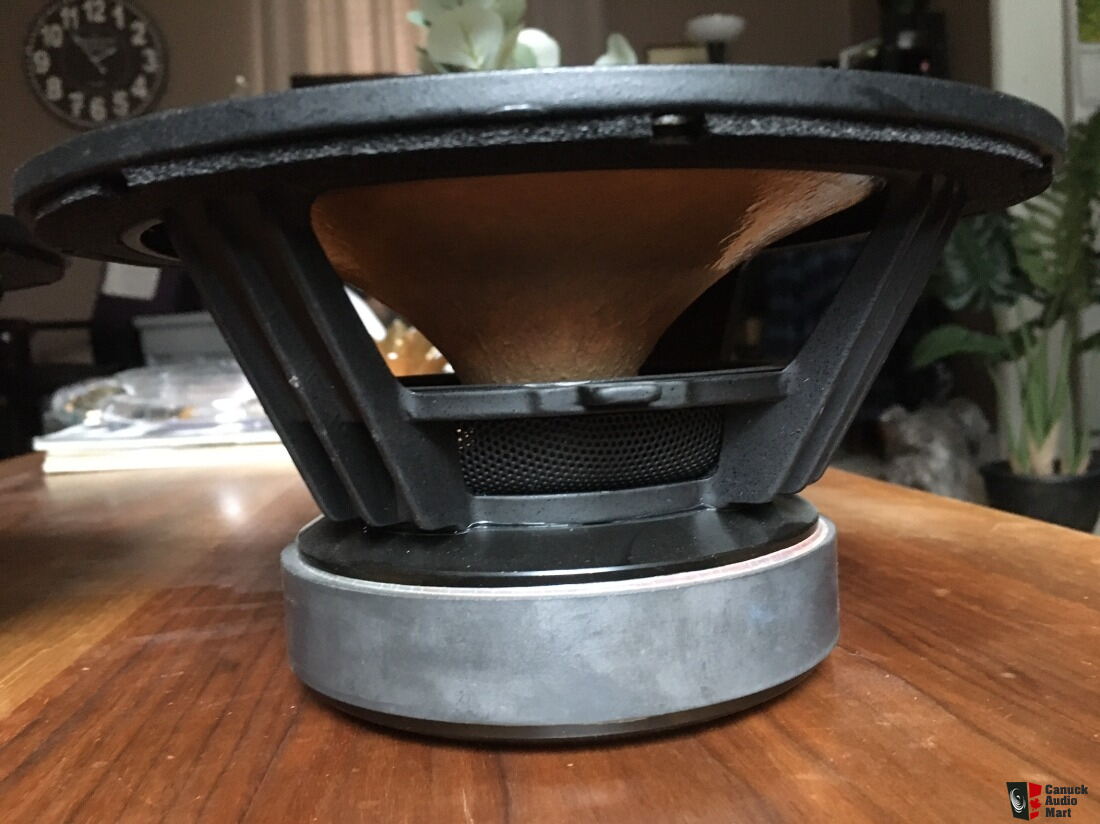 Tang Band W8-2145 full range driver Photo #6071842 - Canuck Audio Mart