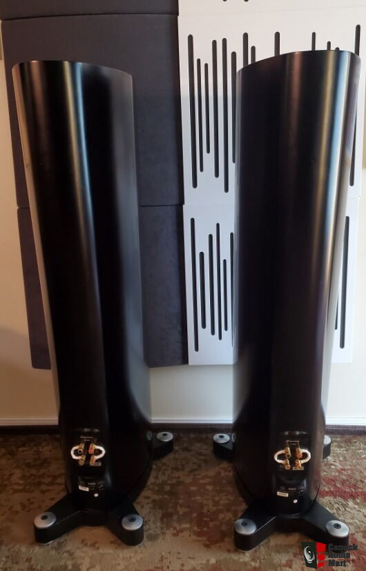 Pioneer/TAD S-1EX Speakers Photo #6075435 - Canuck Audio Mart