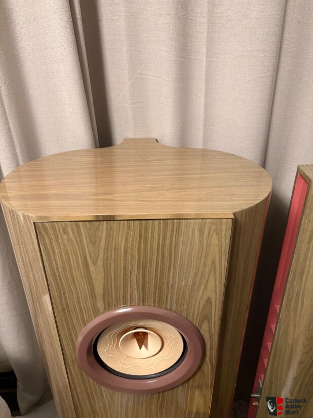 Lii Song Audio s10 single driver speakers Photo #6076208 - Canuck Audio ...