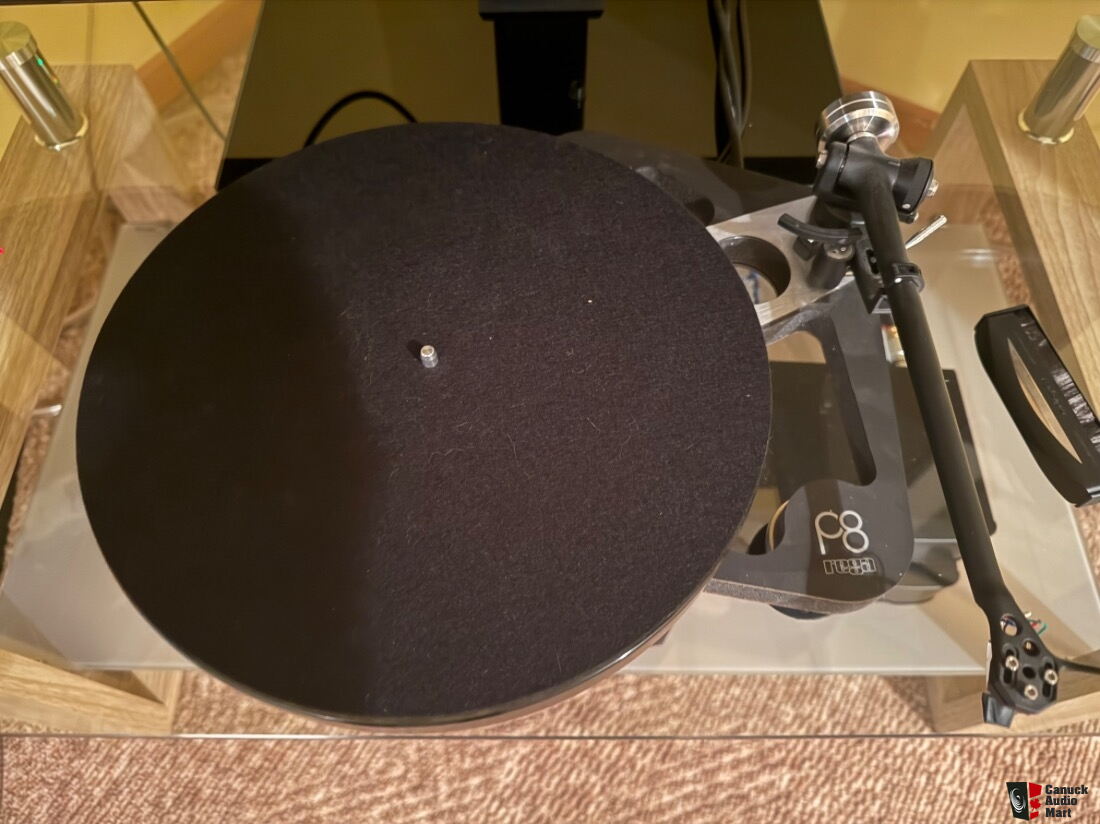Rega P8 with Ania Cart For Sale - Canuck Audio Mart