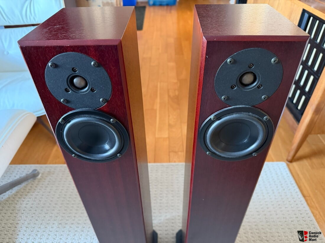 Totem Arro with beaks and weighted bases Photo #6095517 - Canuck Audio Mart