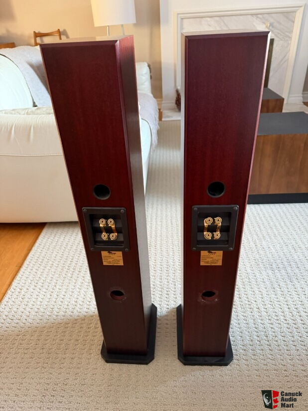 Totem Arro with beaks and weighted bases Photo #6095517 - Canuck Audio Mart
